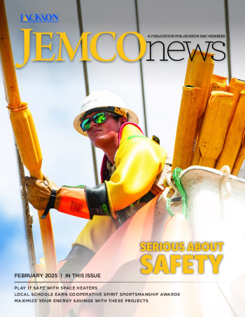 2025 February JEMCO News