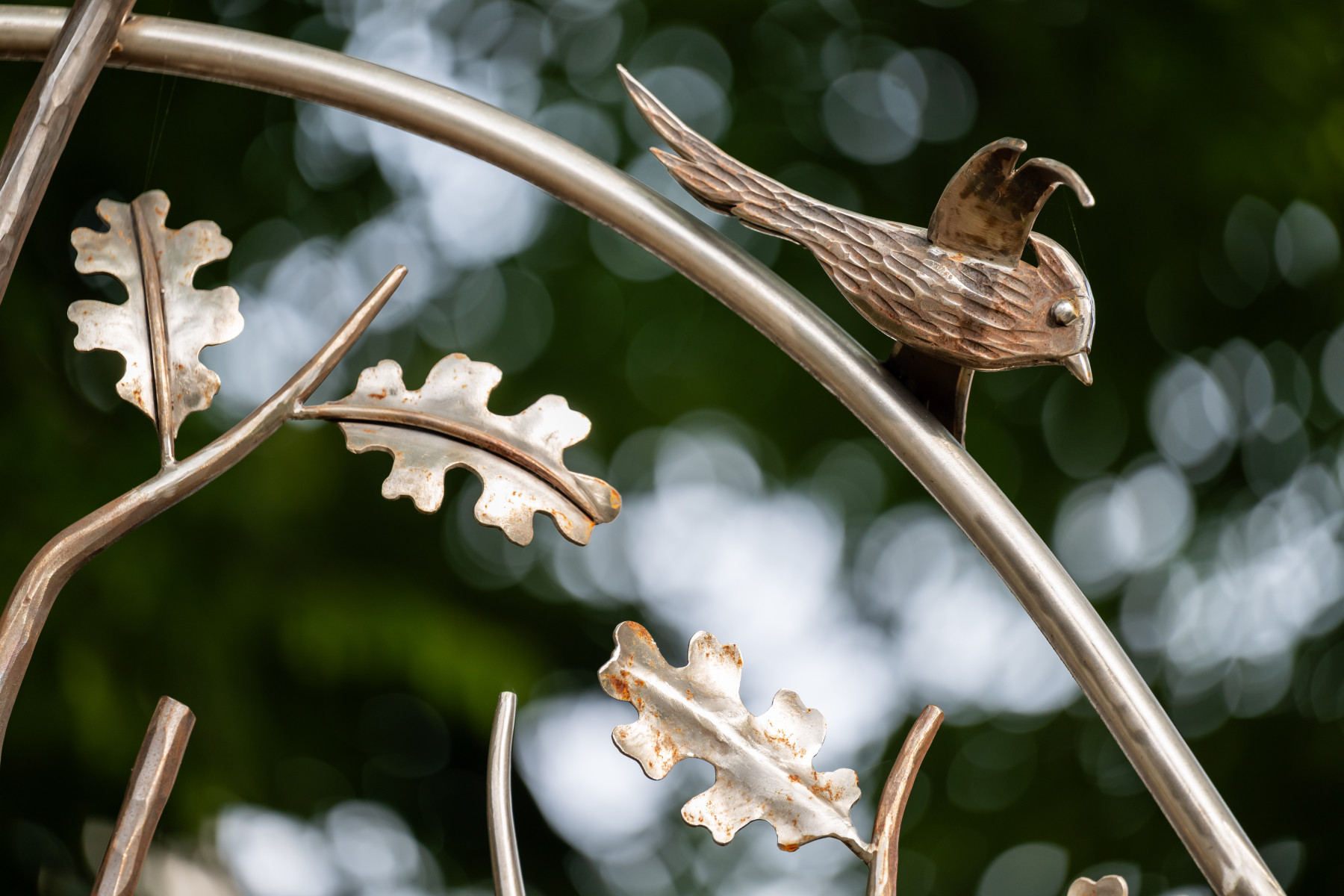 Mission Moment: My Shepherd Mission