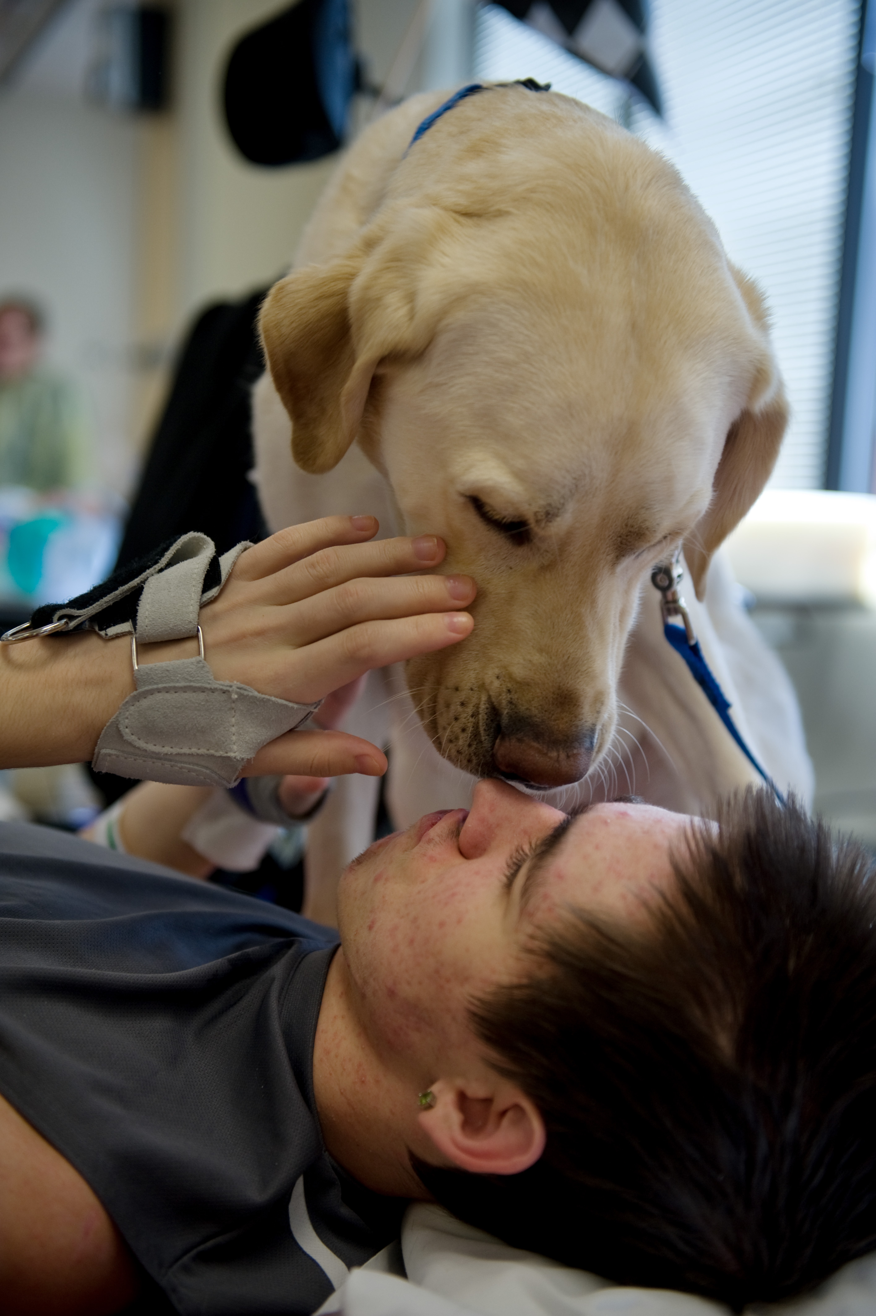 Animal-Assisted Therapy Aids in Rehabilitation Process
