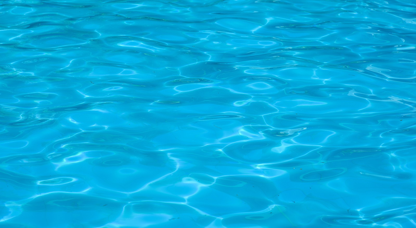 Alarming Increase in Drownings at Cook Children's for 2022