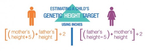My child is short … is that OK?