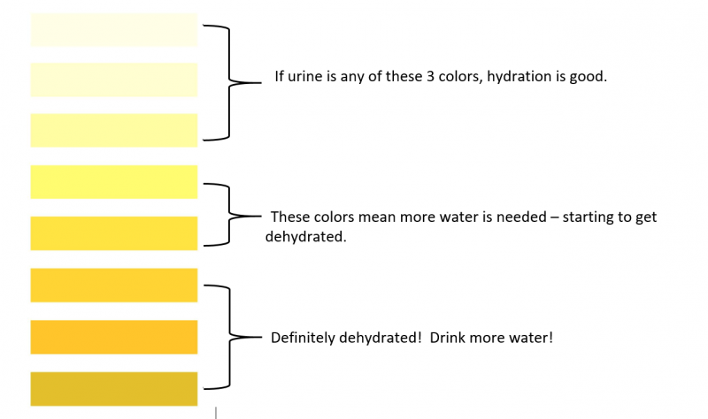 Summer Safety: Keeping Kids Safe During the Warm Months