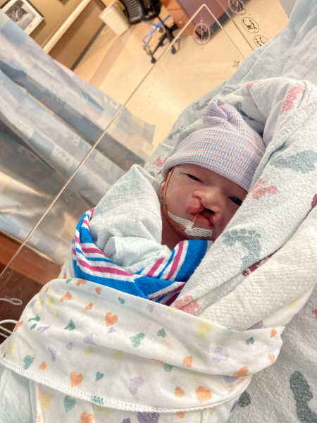 Cook Children's Cleft Team Receives Approval from the American Cleft ...