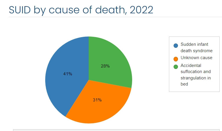 Snuga Swings and Nursing Pillows: Unsafe for Sleep