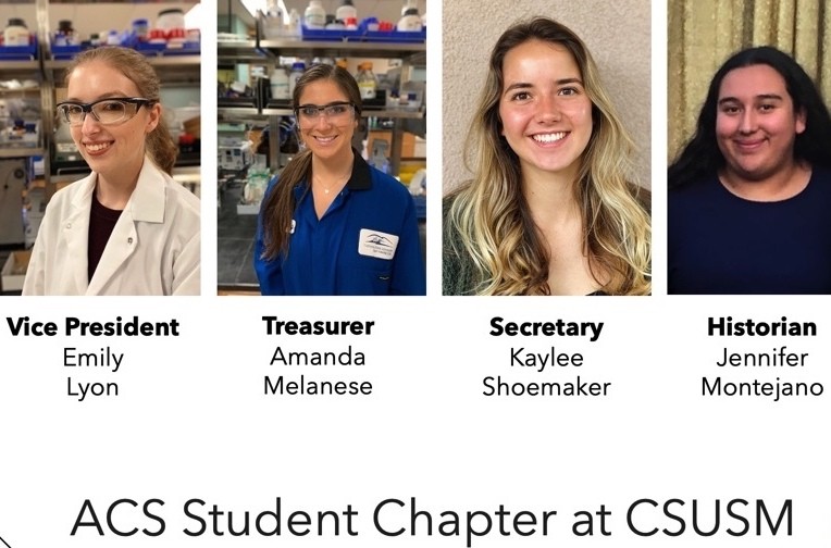ACS Student Chapter Receives Prestigious Honor