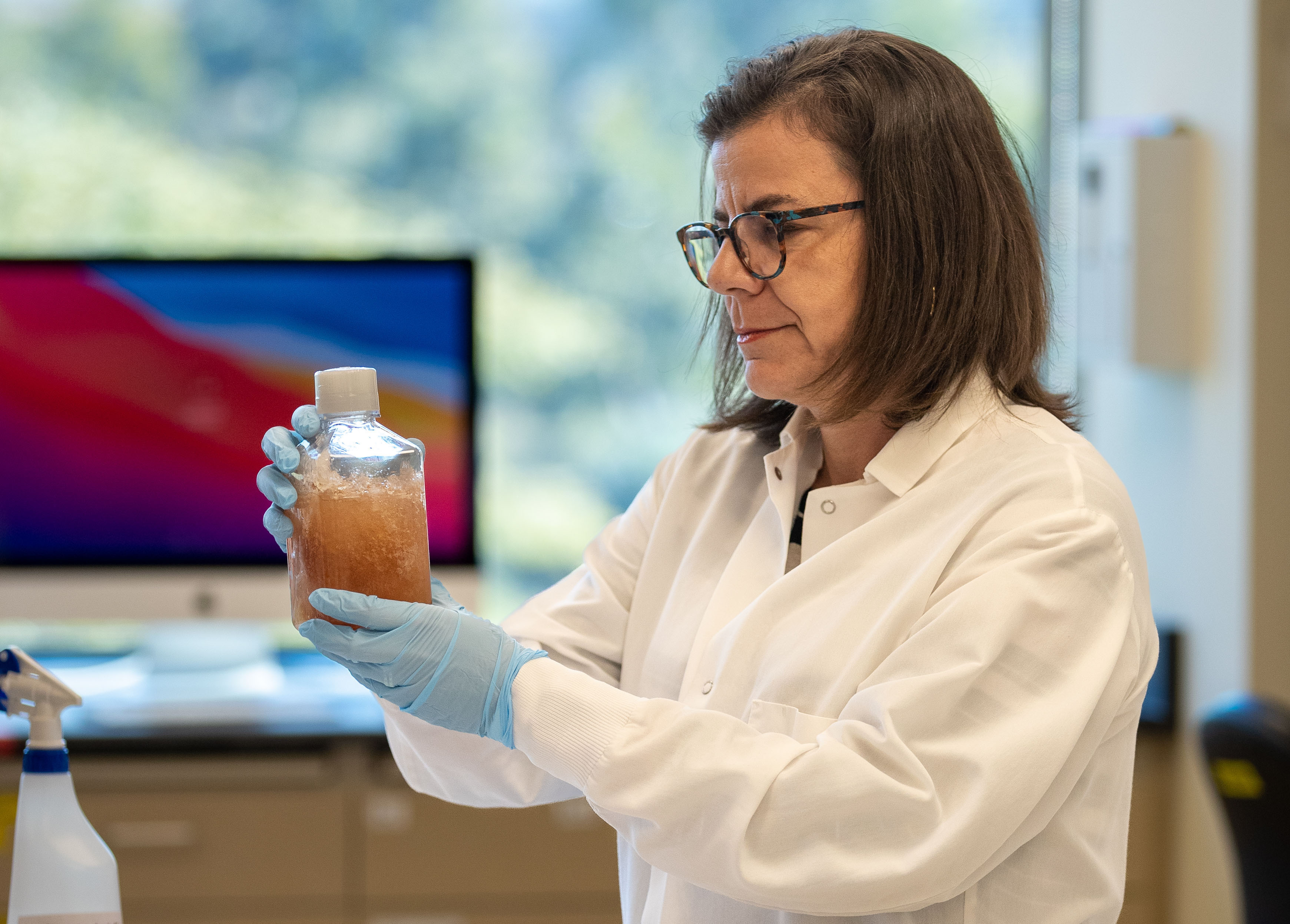 Professor Wins CSU Award for Faculty Service in Biotech