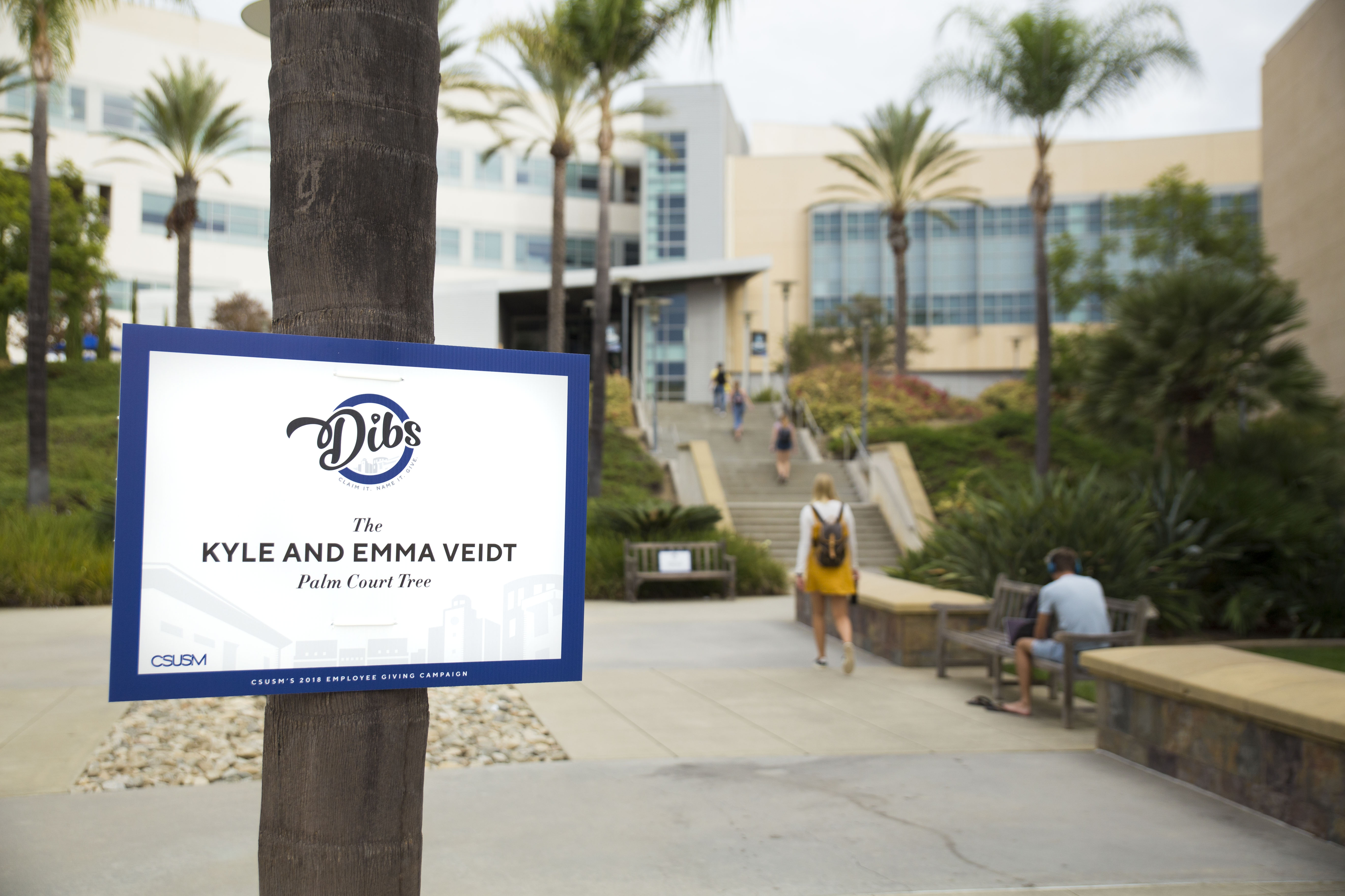 Signs Calling 'Dibs' Pop Up on Campus