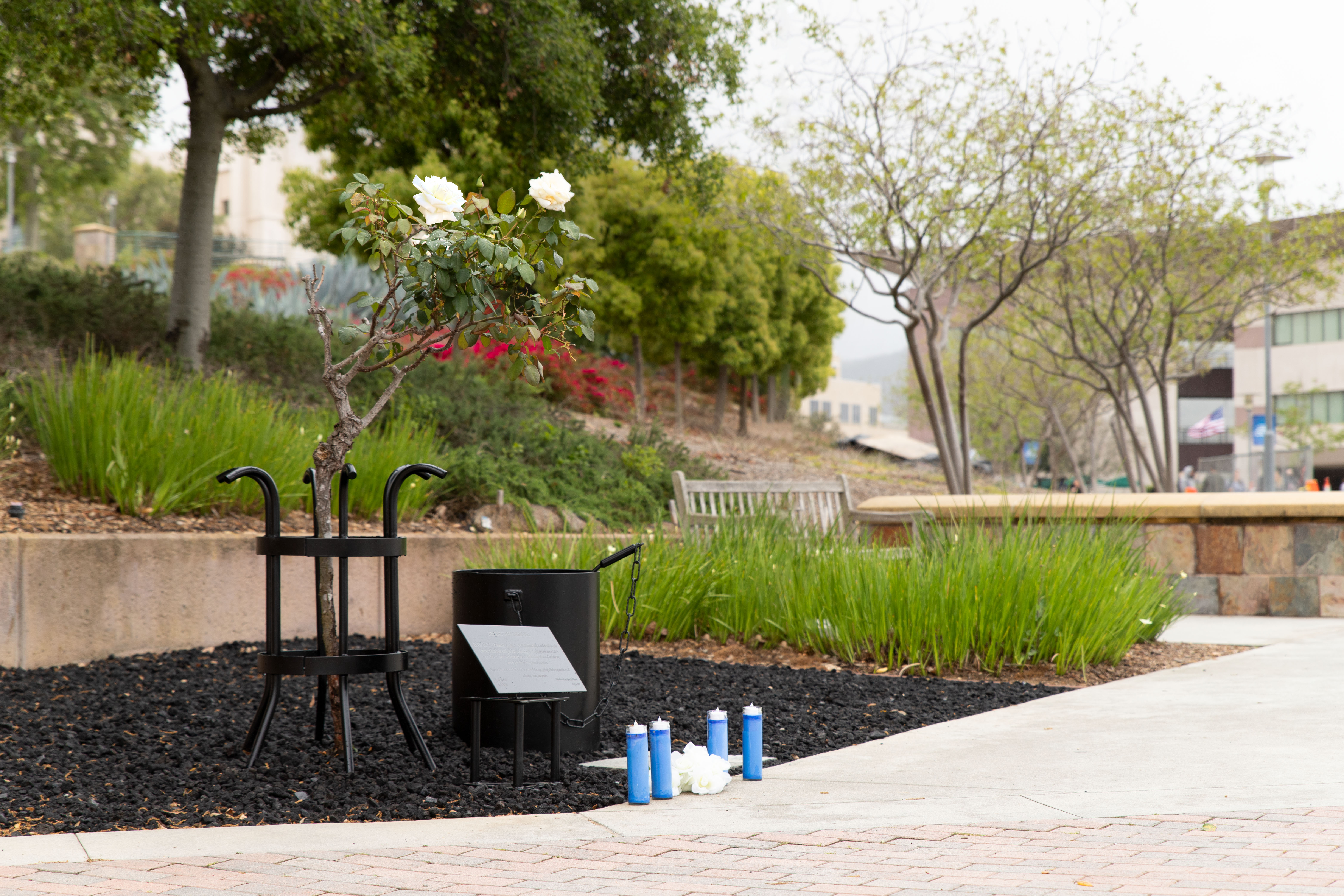 Stand in Solidarity at White Rose Memorial Rededication