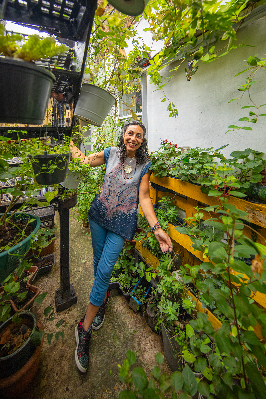 Winners of this year’s Camden in Bloom competition announced