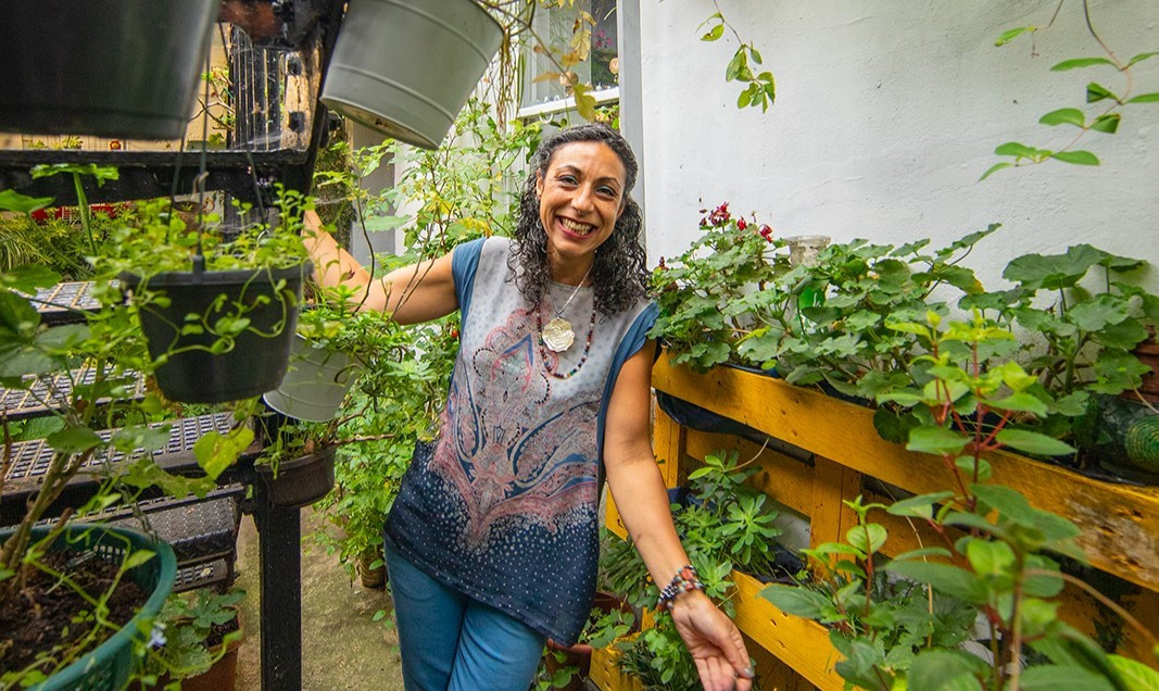 Winners of this year’s Camden in Bloom competition announced