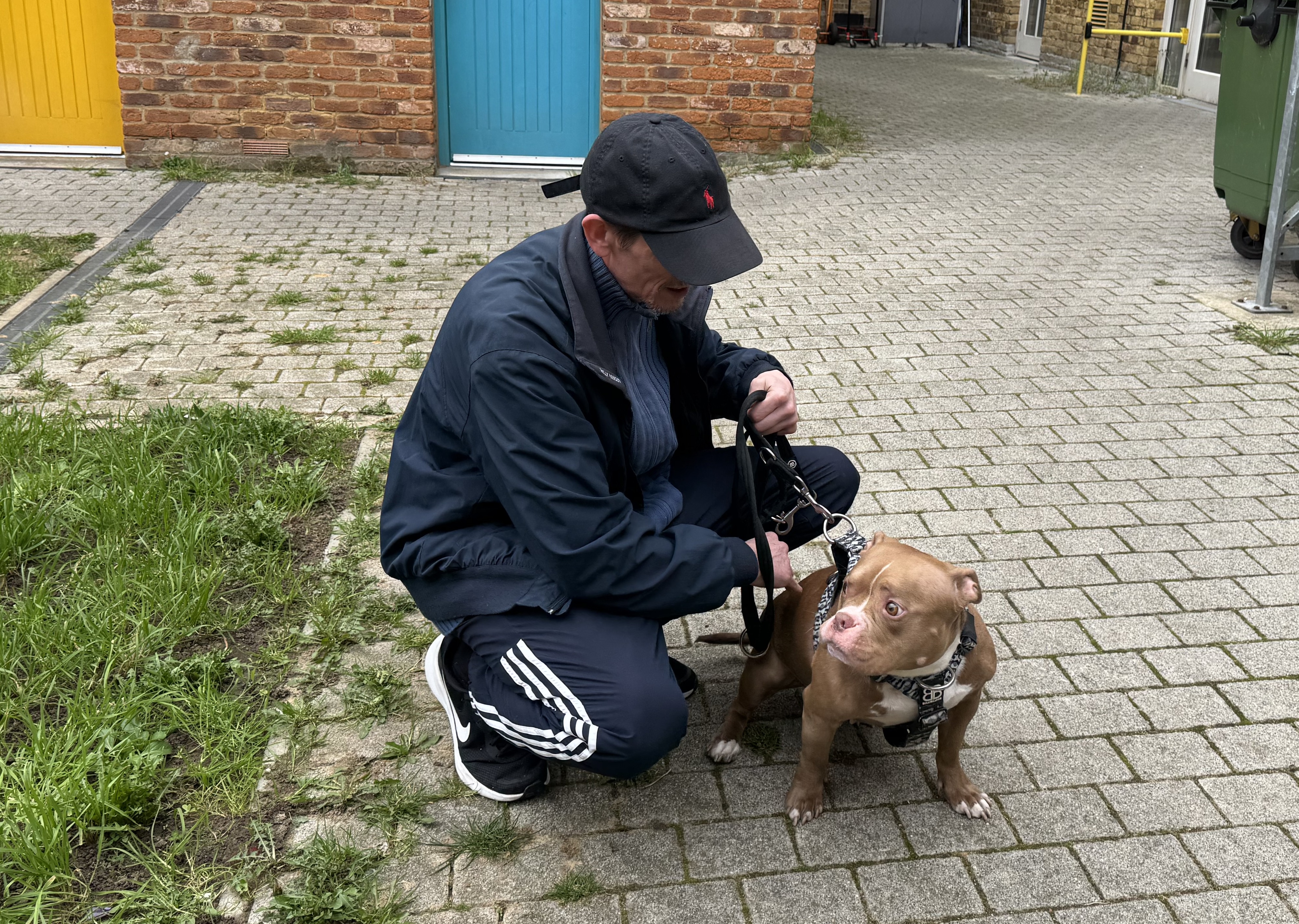 Pets welcome at Camden’s hostels for people sleeping rough