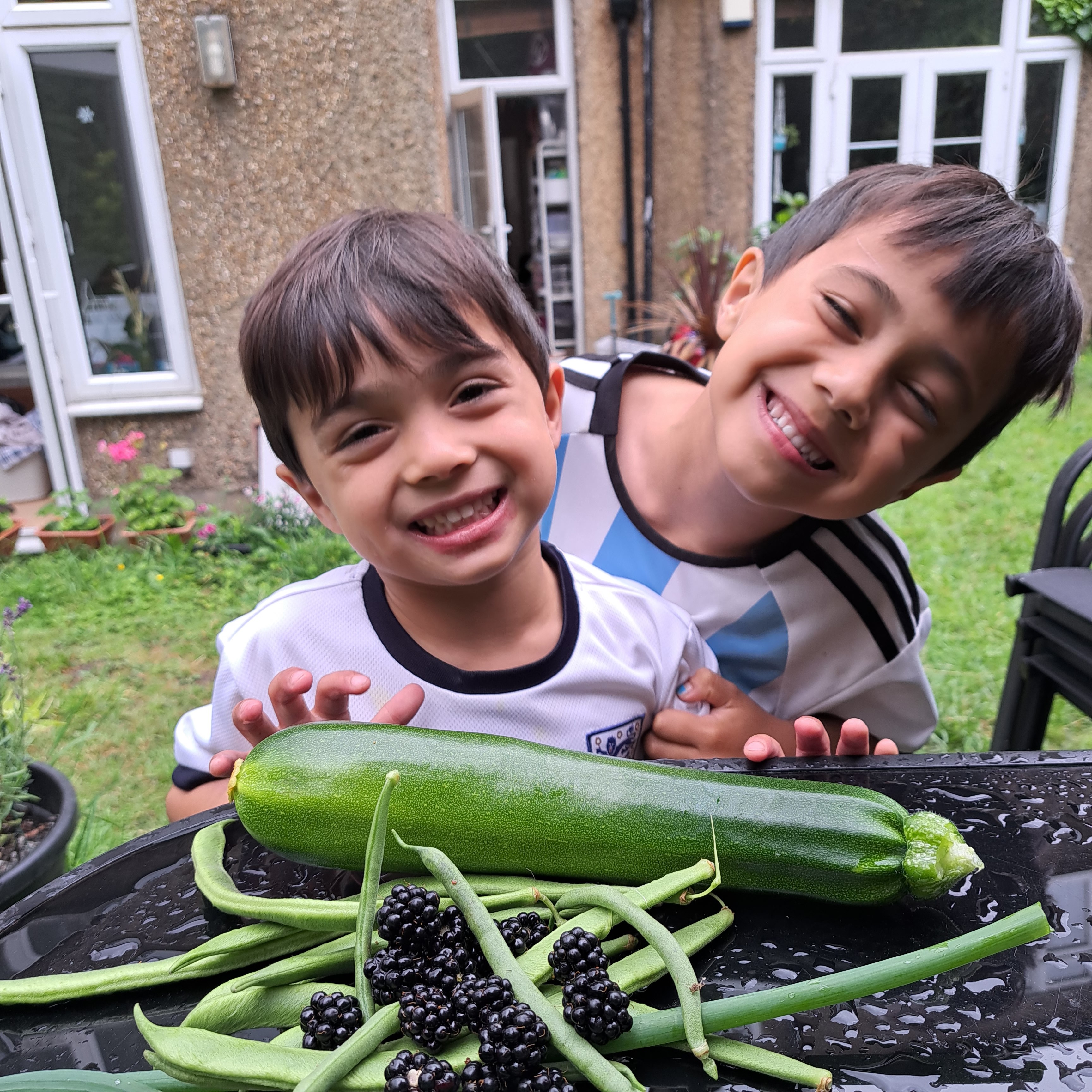 Winners of this year’s Camden in Bloom competition announced