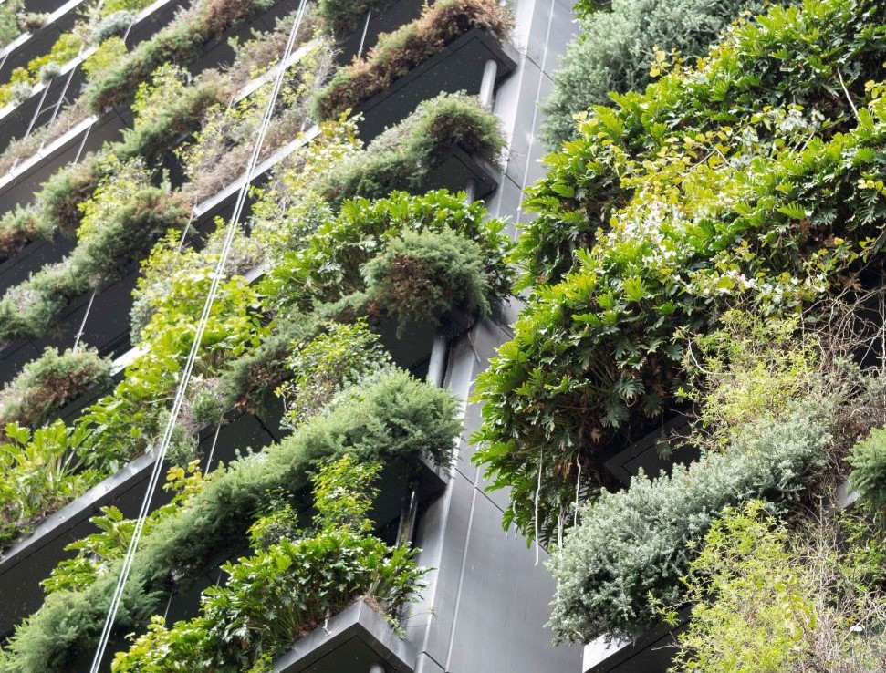 CBRE Reinforces ESG and Sustainability Capabilities