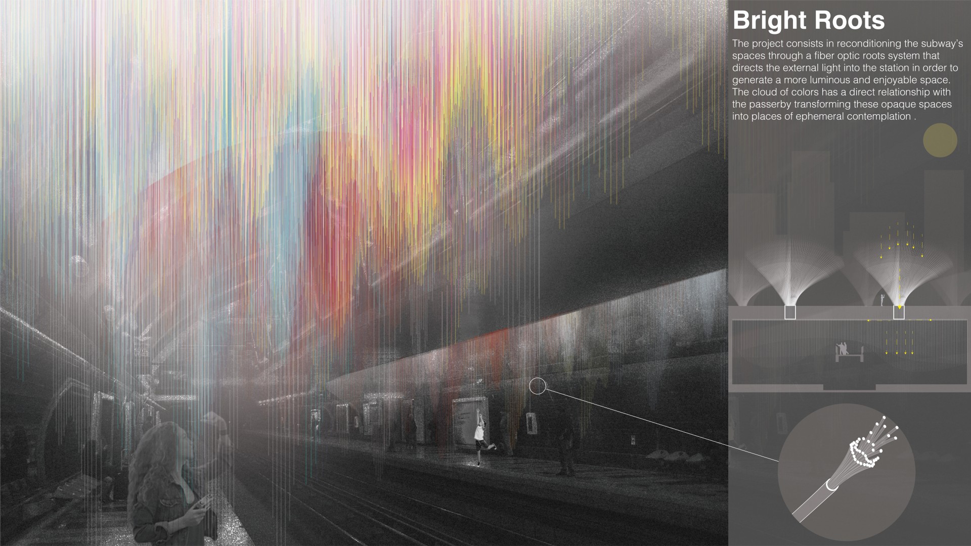 Chile - Bright Roots