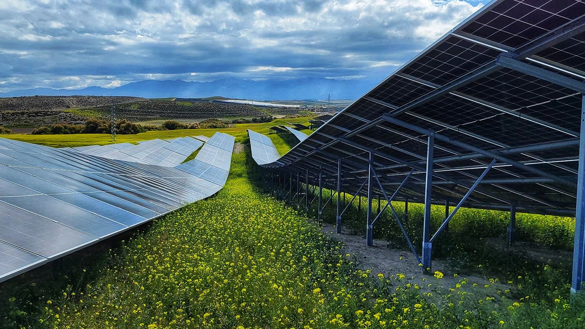 New solar park in Spain combining agriculture and biodiversity provides ...