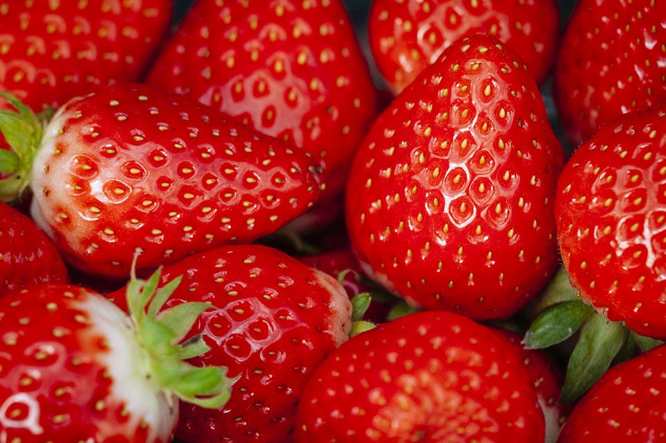 Hele jaar aardbeien van Nederlandse bodem bij Albert Heijn