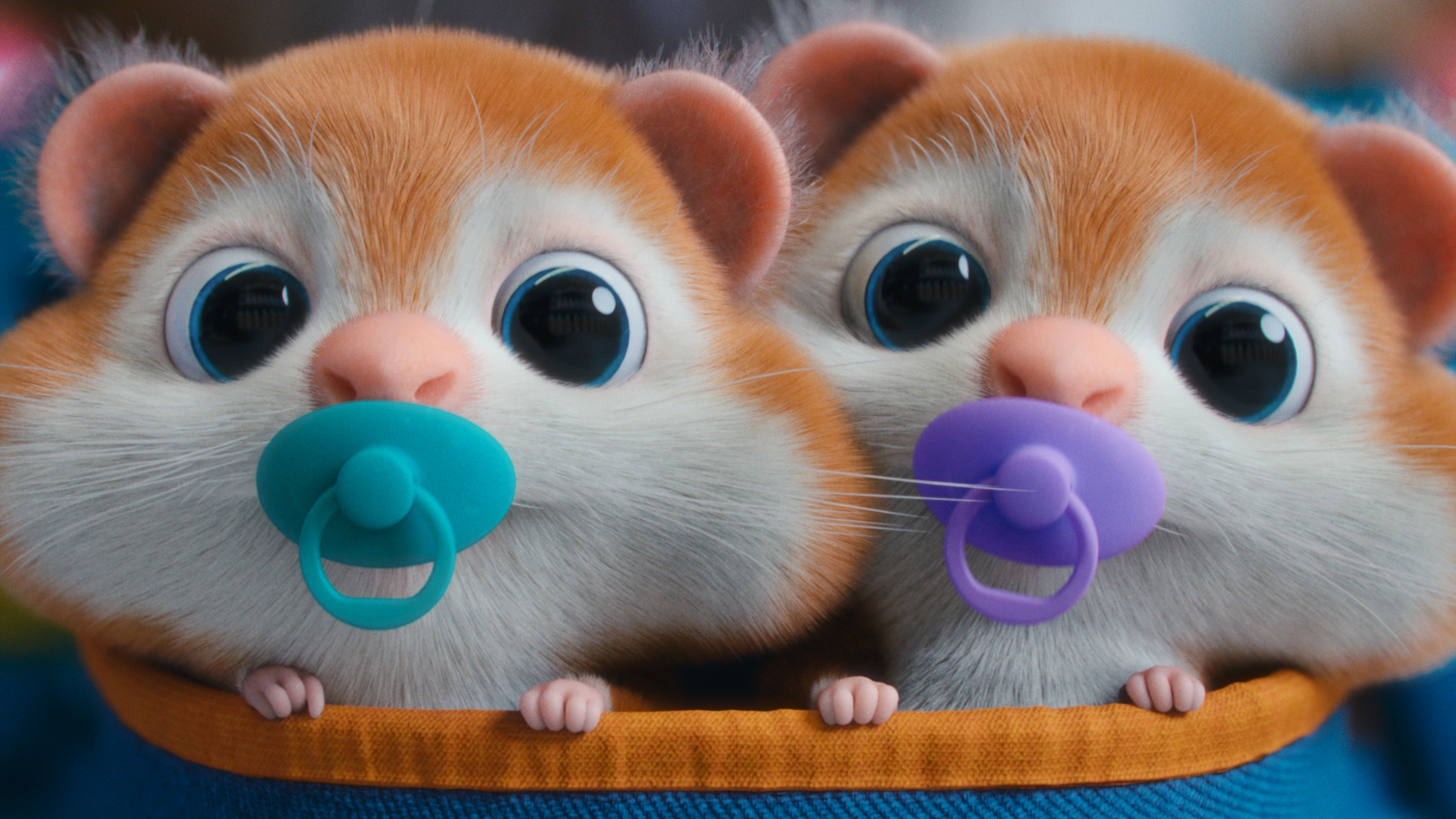 Hoera Gezinsuitbreiding Albert Heijn Stelt Hamstergezin Voor