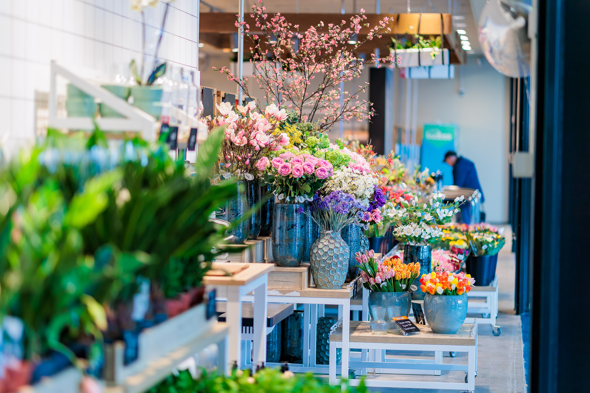Albert Heijn vernieuwt volledige assortiment bloemen en planten