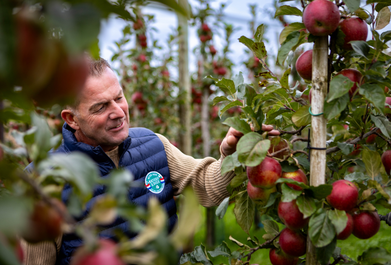 Albert Heijn breidt SPRANK-appel verder uit