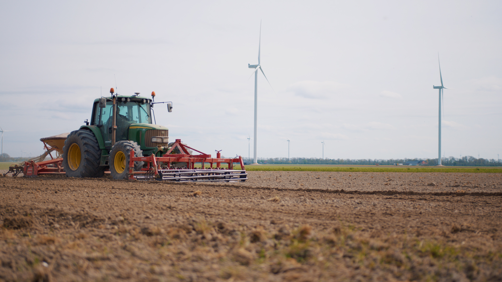 Albert Heijn zet volgende stap in broodassortiment met tarwe uit Nederland