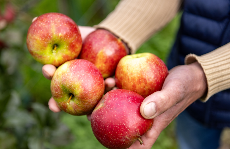 Albert Heijn breidt SPRANK-appel verder uit