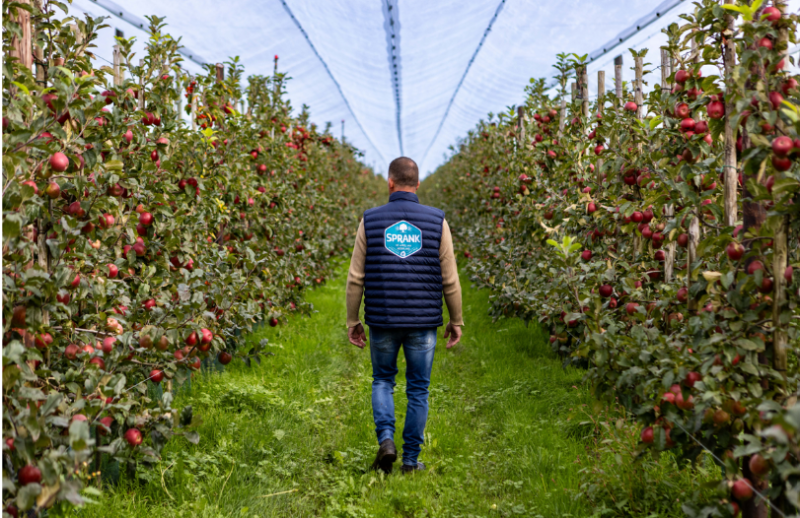 Albert Heijn breidt SPRANK-appel verder uit