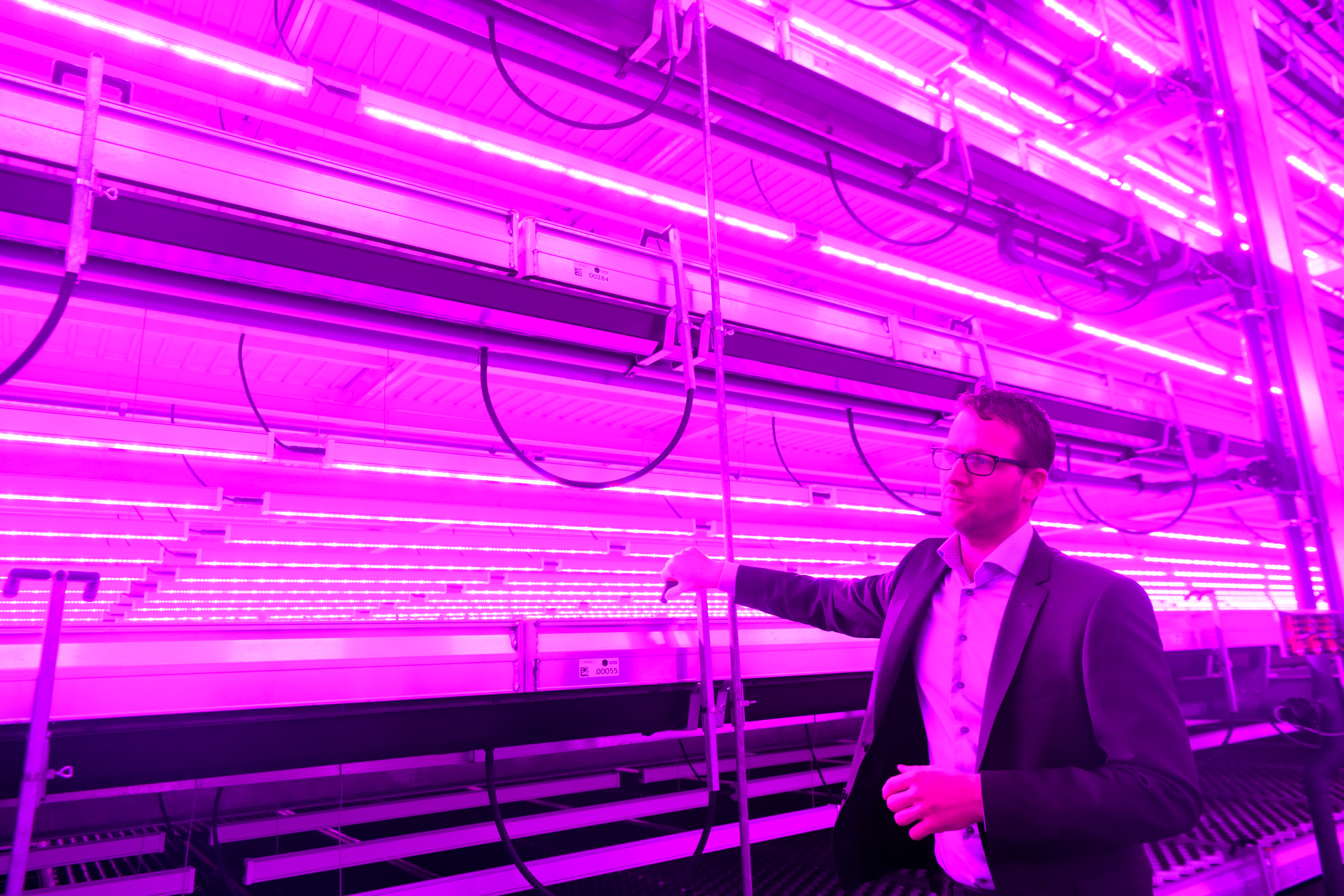 Eerste oogst ‘sla op water’