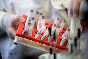 Innovative approach to assessing effectiveness of anti-cancer drugs