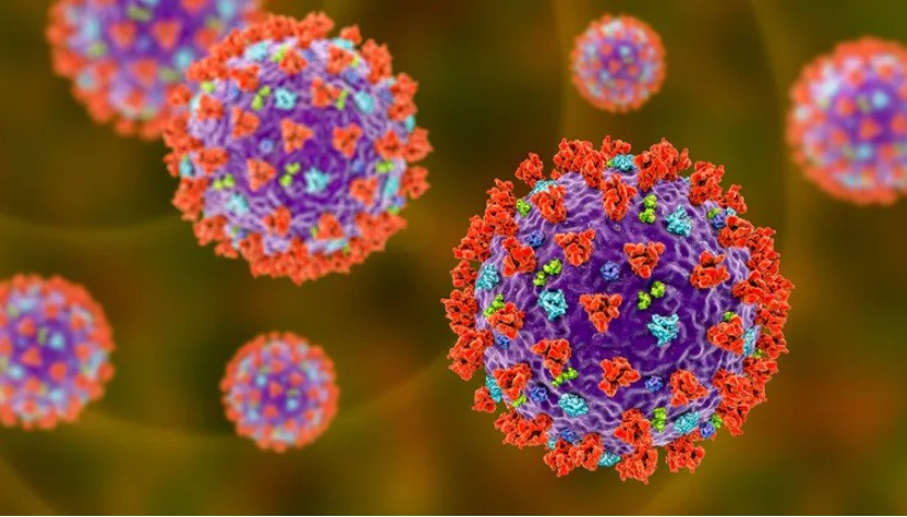 Coronavirus: how T cells are involved and what it might mean for ...