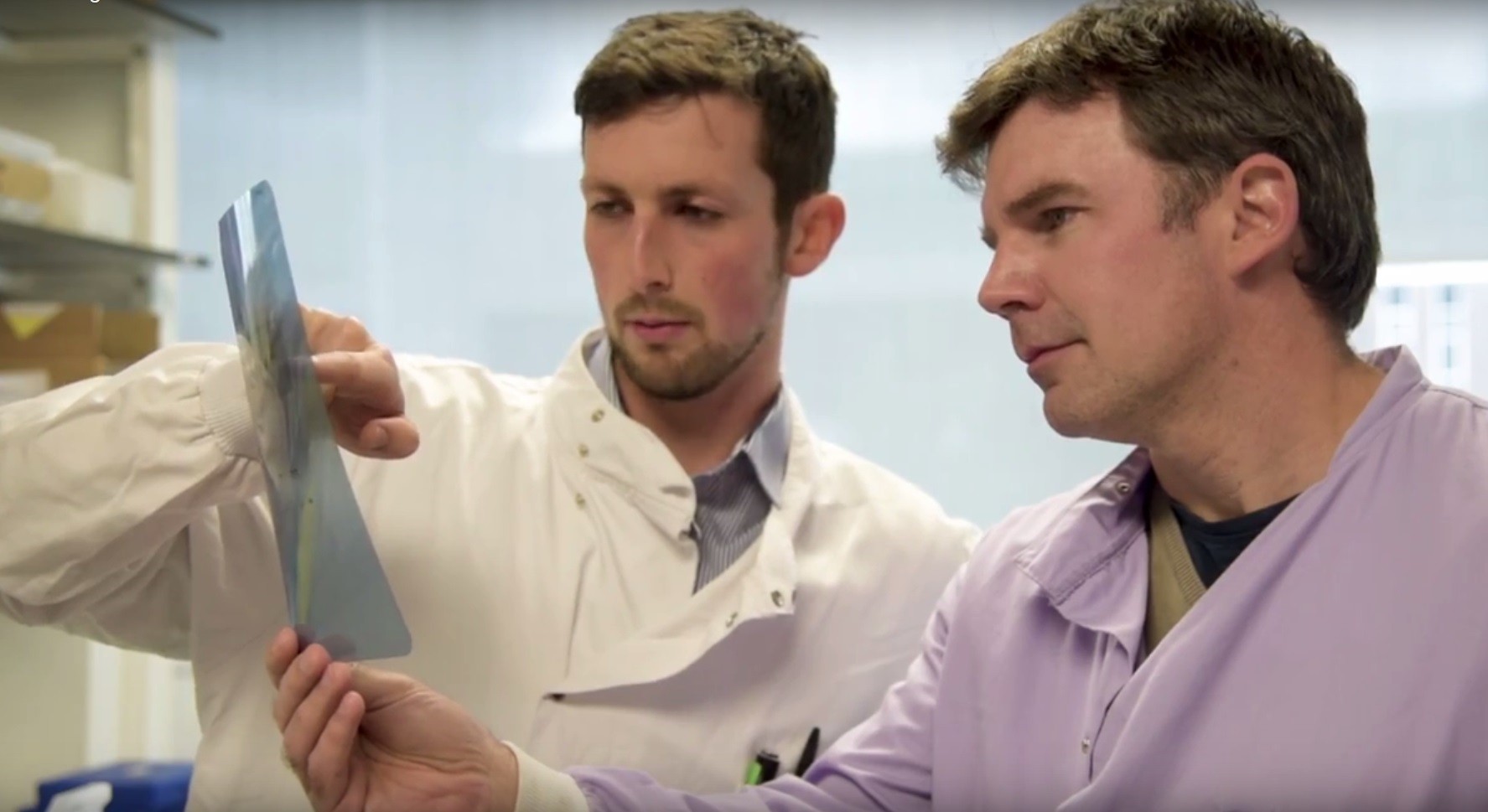 New compound discovered in fight against inflammatory disease