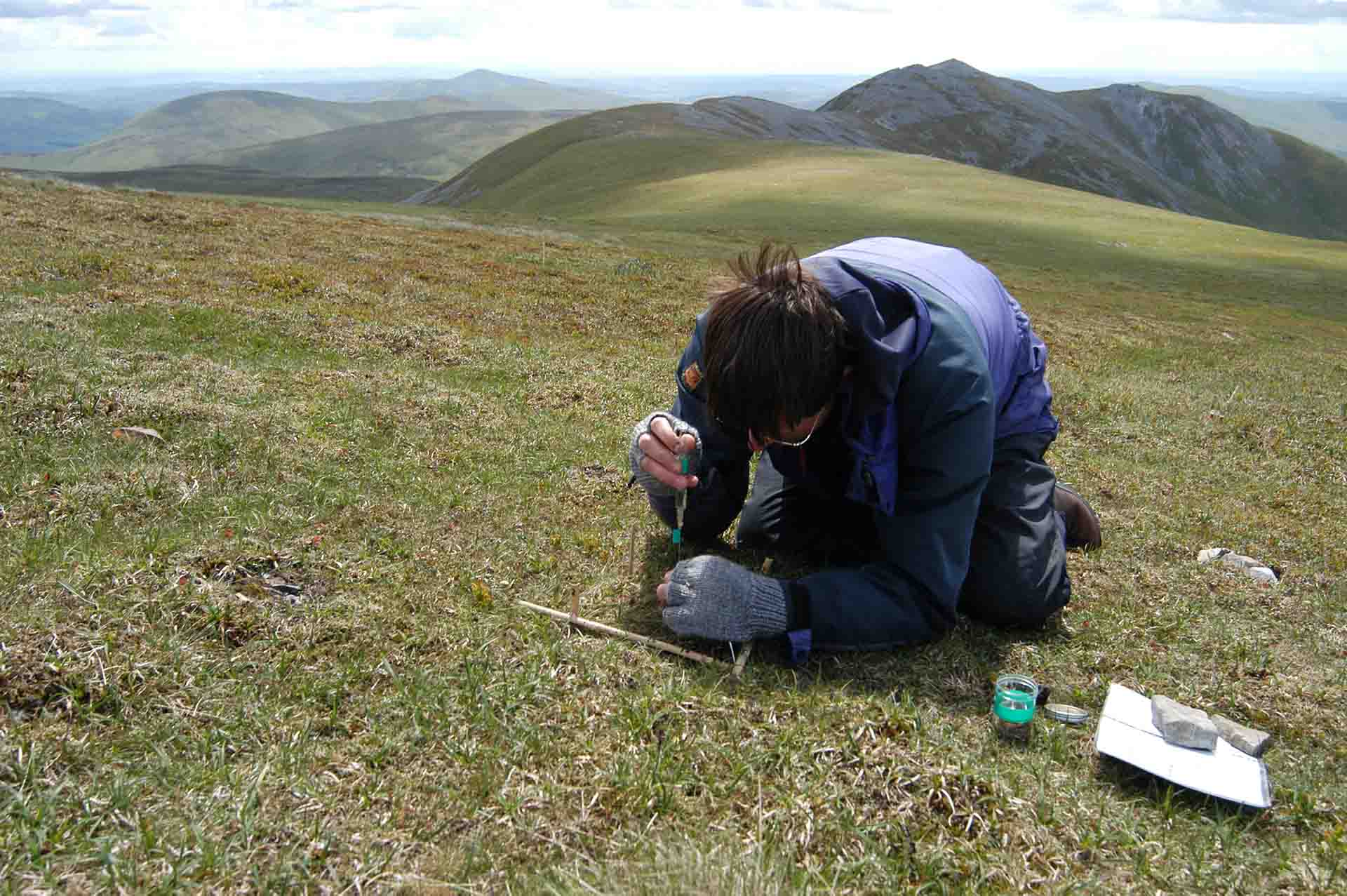 Plants and microbes share vital nutrients