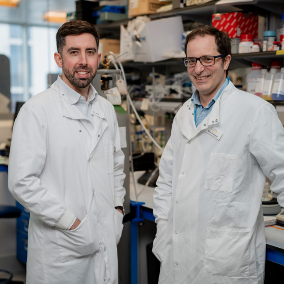 Pioneering vascular dementia researchers earn 'Heart Hero' accolade