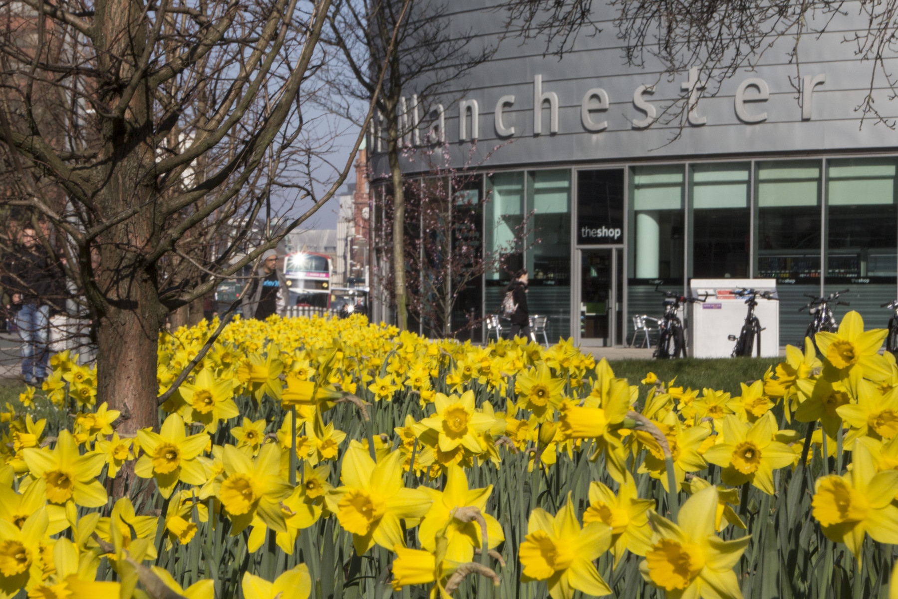 Open Research Digest, February 2026