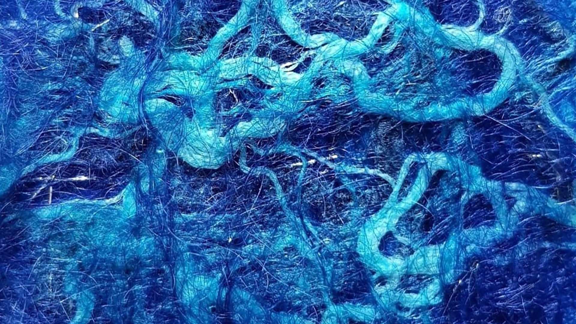 Making fashion sustainable: growing fabrics