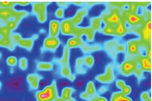First image of protein residue in 50 million year old reptile skin
