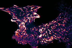 Cell movement explained by molecular recycling