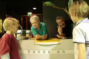 Manchester Museum to share in Lottery grant success