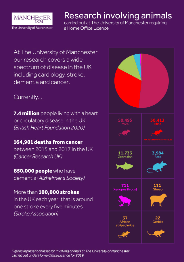 Top Ten Organisations for Animal Research Announced