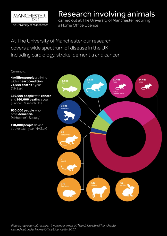 Top Ten Universities for Animal Research Announced