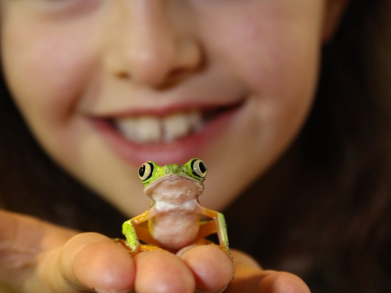 Lucy, 9, fronts global fight to save frog from extinction