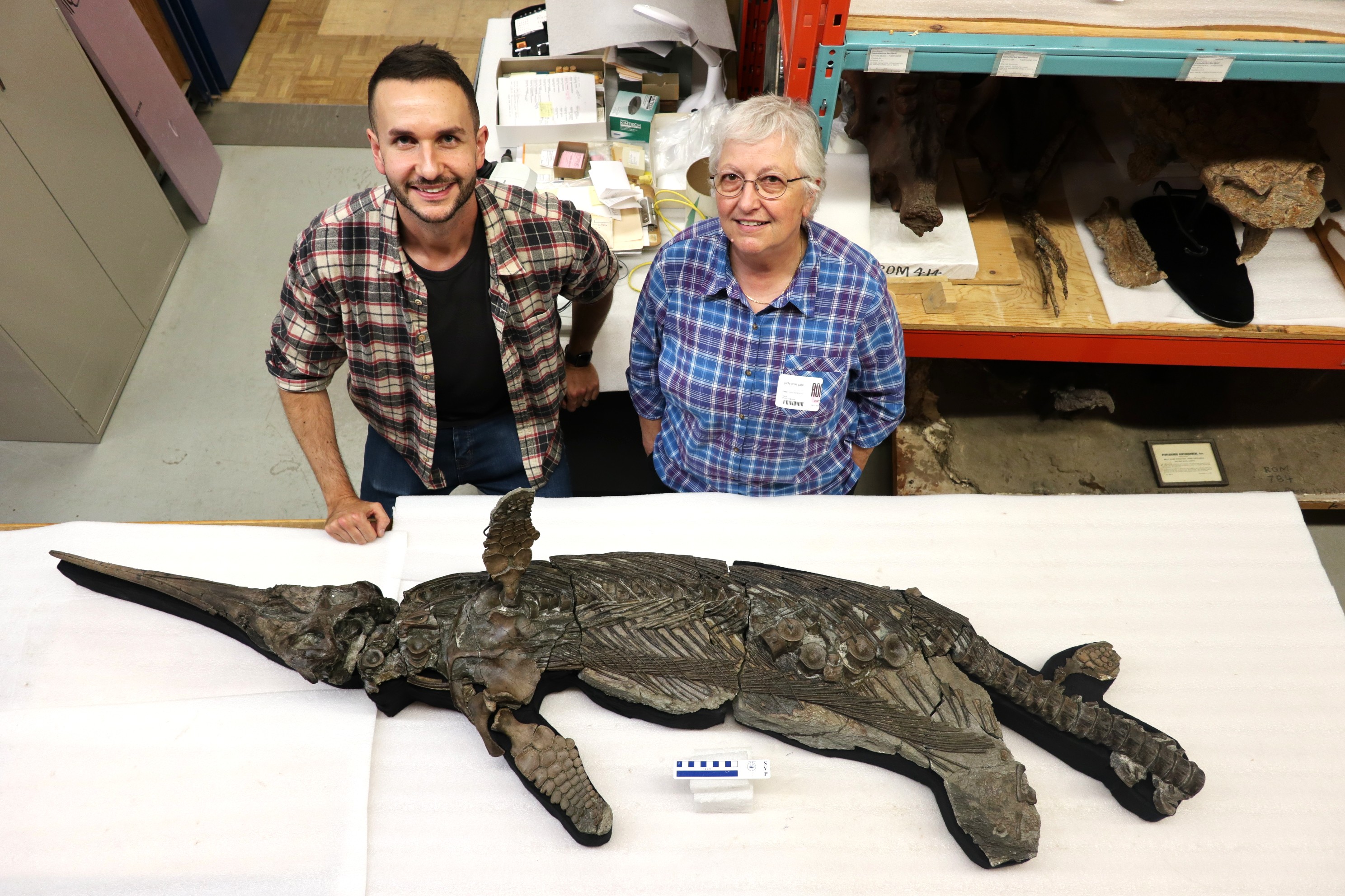 Rare Jurassic 'Sword Dragon' prehistoric reptile discovered in the UK