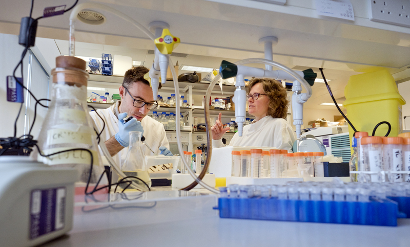 Major funding boost for University cell matrix biologists announced