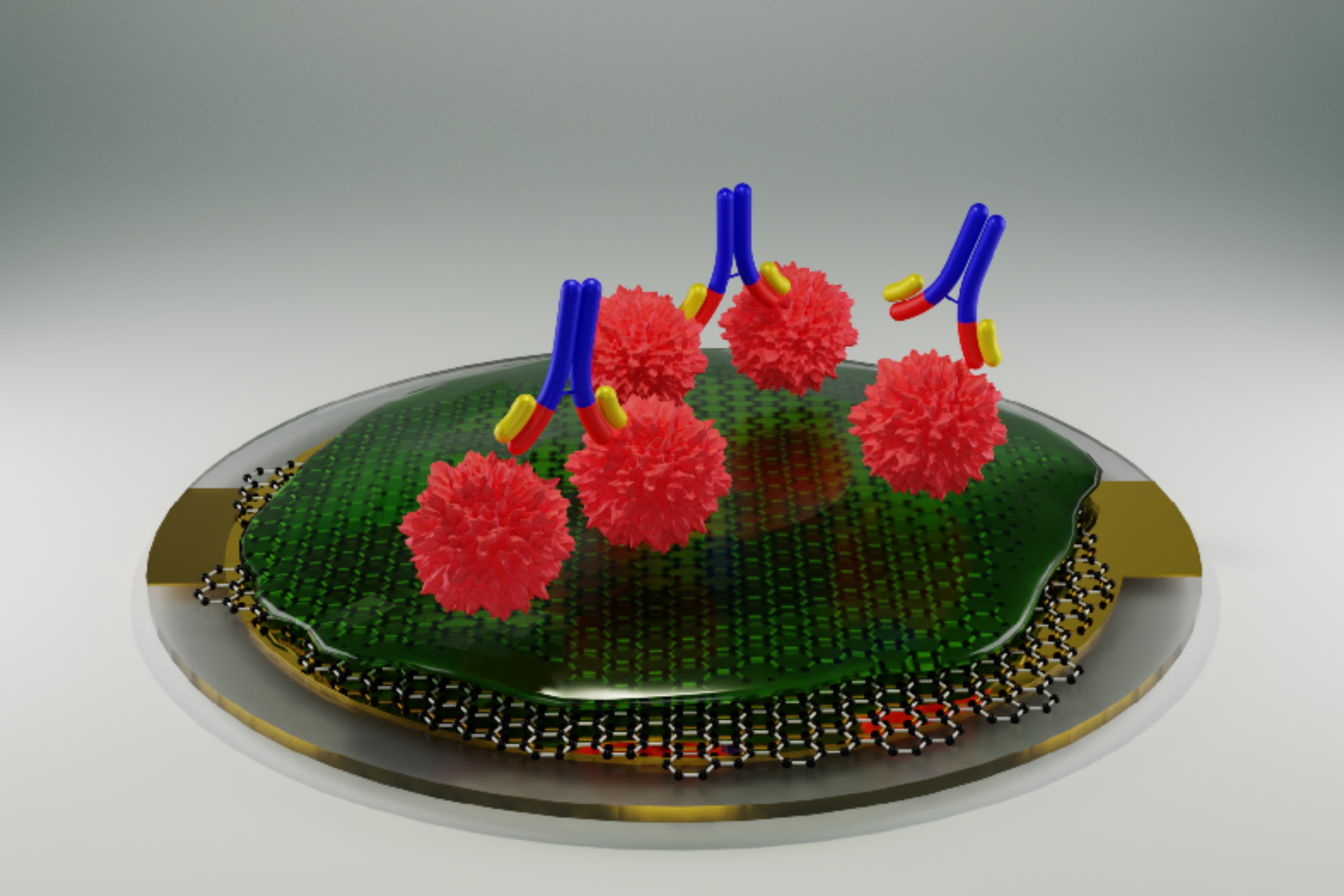 Graphene-based antibody test detects kidney disease