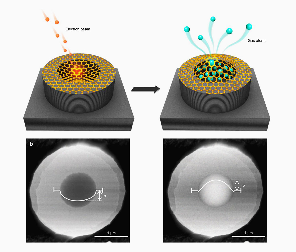 Precision sieving of gases through atomic pores in graphene