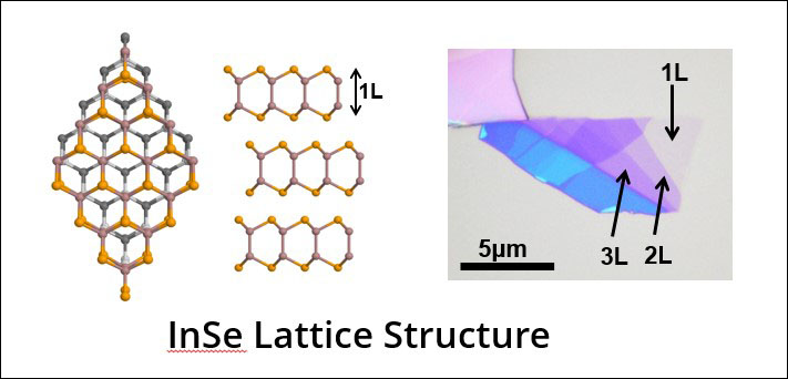 NGI post-doc wins Elsevier early-career research award