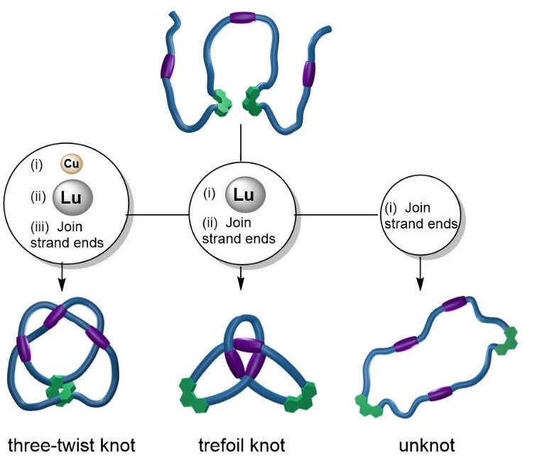 Scientists perfect knot-tying techniques with molecular string