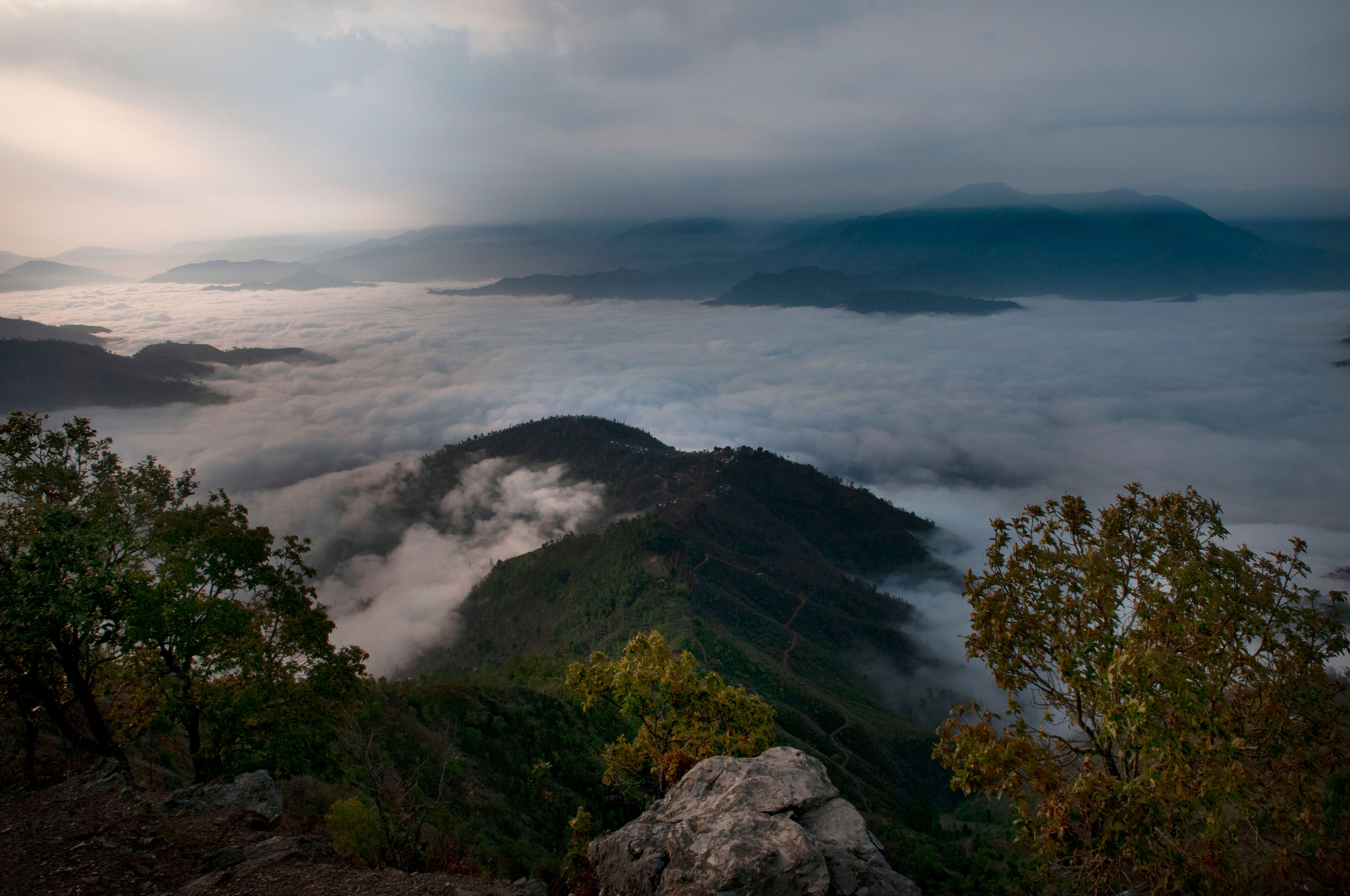 New research shows community forest management reduces both ...