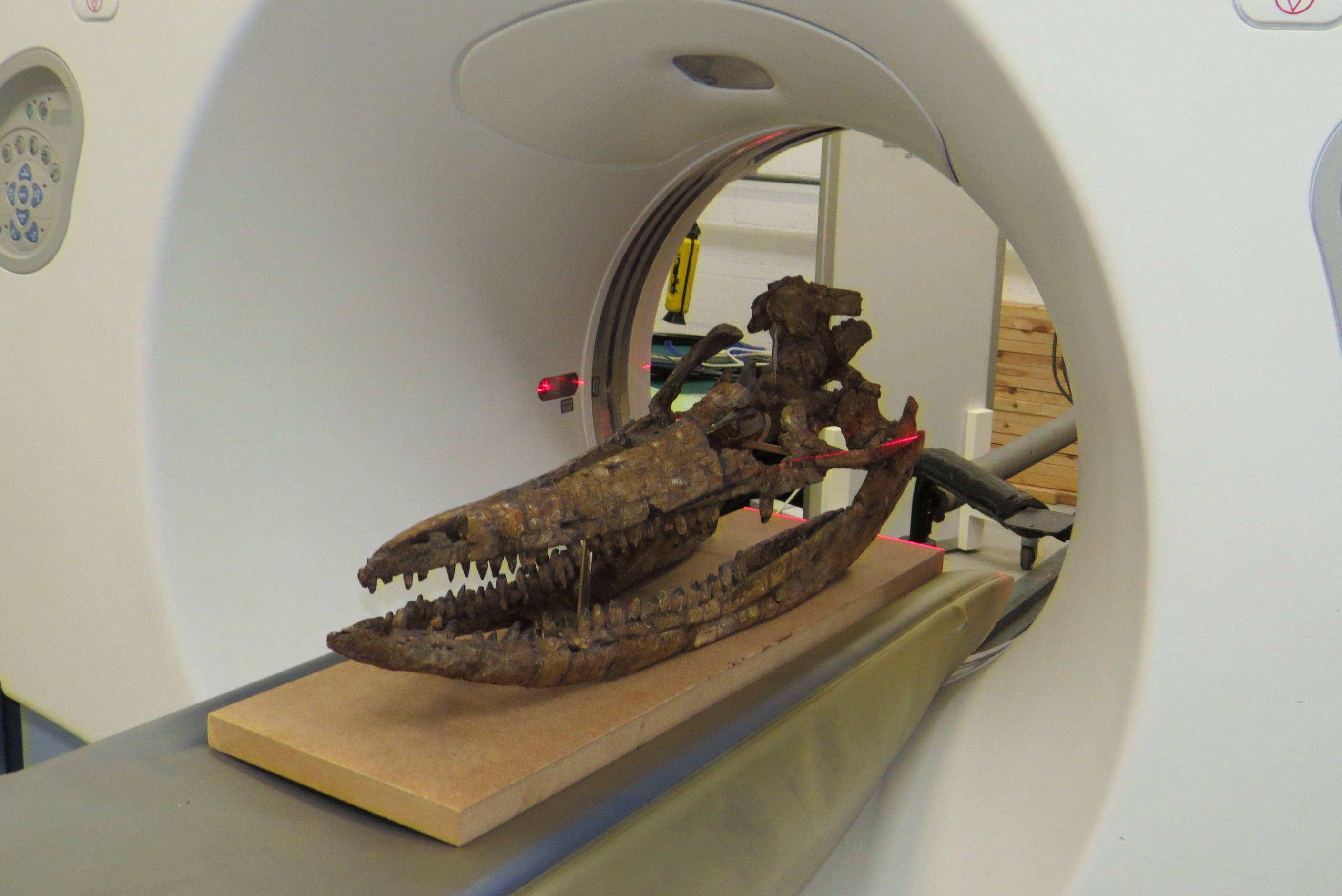 Medical scanner helps to unlock the mysteries of a giant prehistoric ...