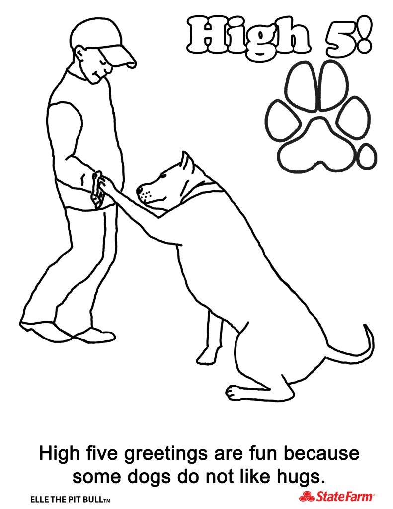 Tips for Safely Sheltering at Home with Pets | State Farm