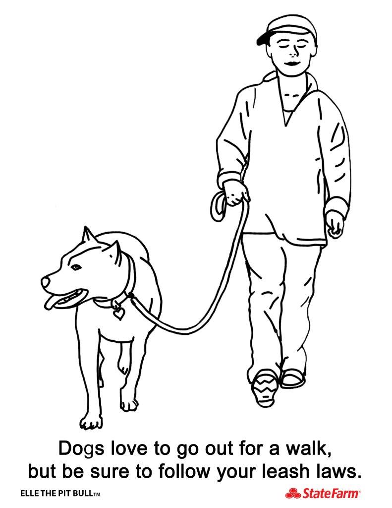 Tips for Safely Sheltering at Home with Pets | State Farm